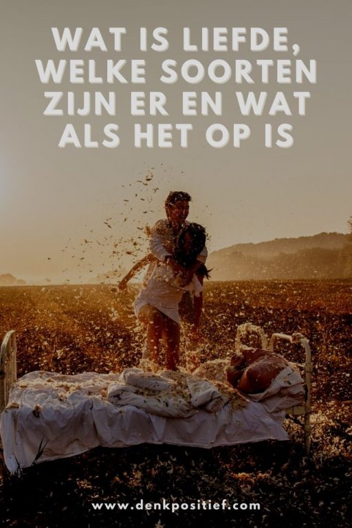 Wat Is Liefde, Welke Soorten Zijn Er En Wat Als Het Op Is?