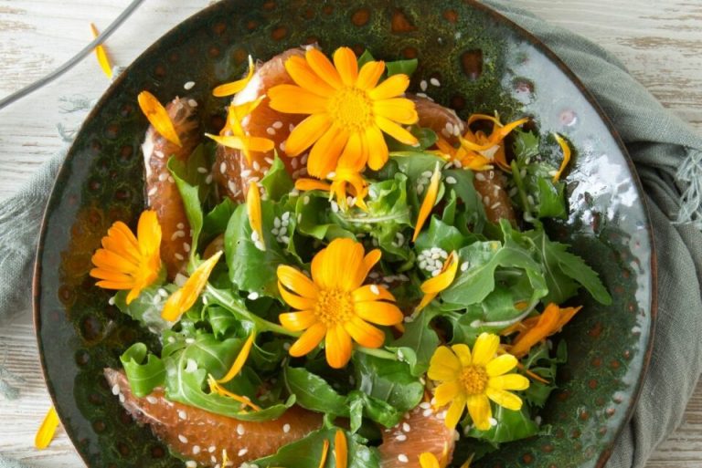 15 Geniale Redenen Waarom Afrikaantjes Een Plek In Je Moestuin Verdienen
